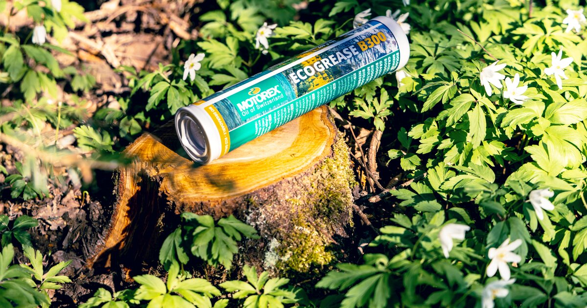 Lubricate well and protect well | MOTOREX